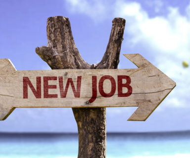 Career Path Finder Chart for Indian Students | Educational Info Zone